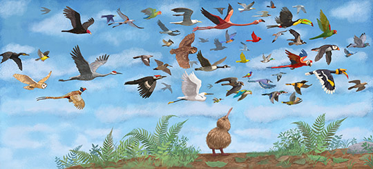 David Opie Illustration